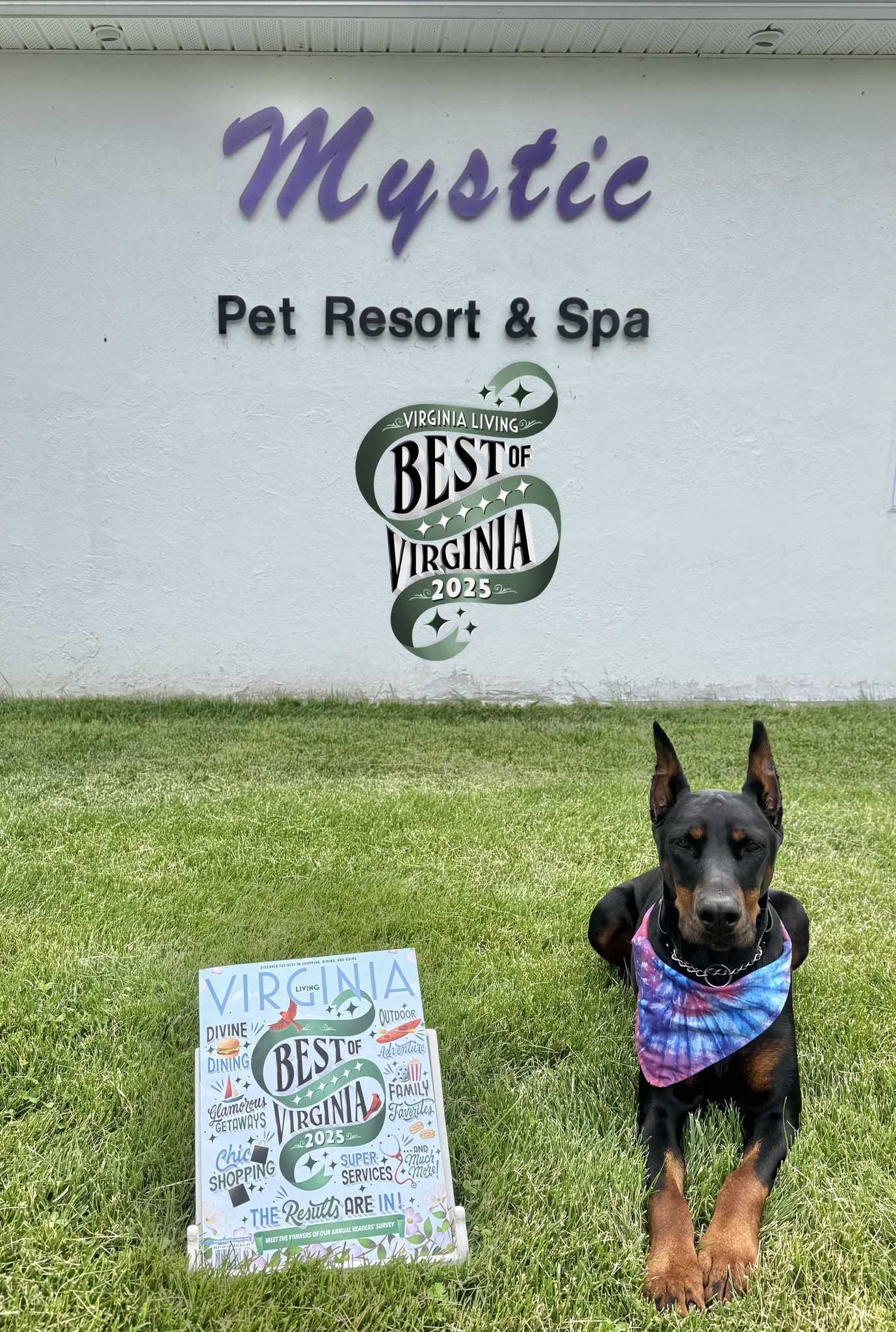 Mystic Pet Resort