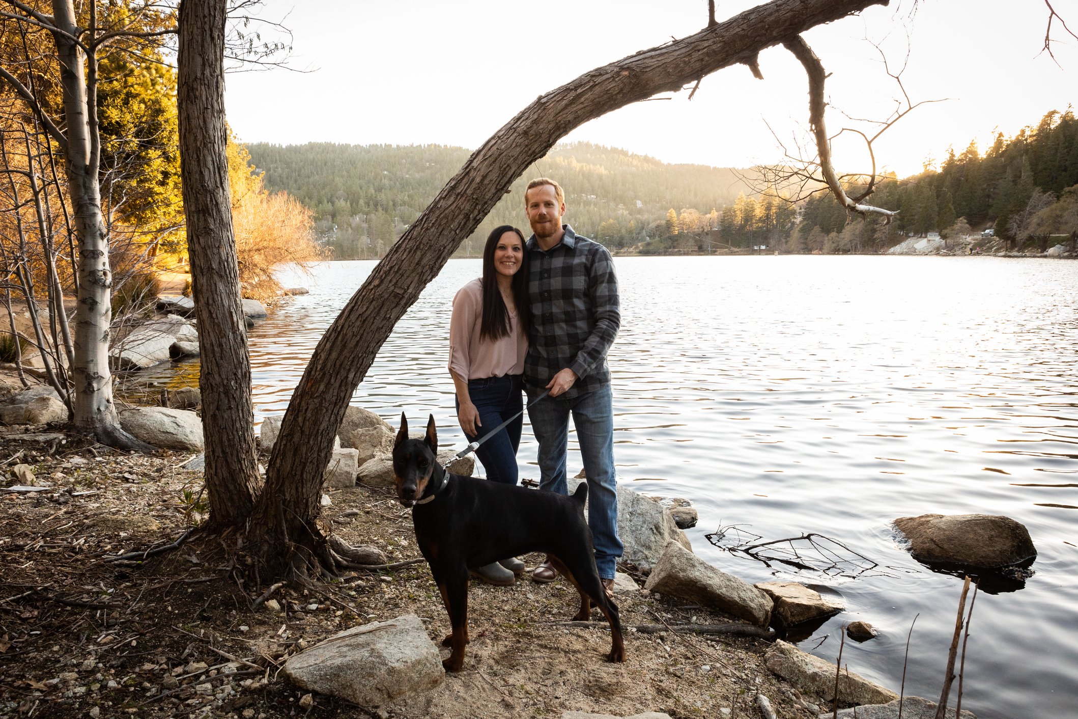 About Us – Mystic Pet Resort